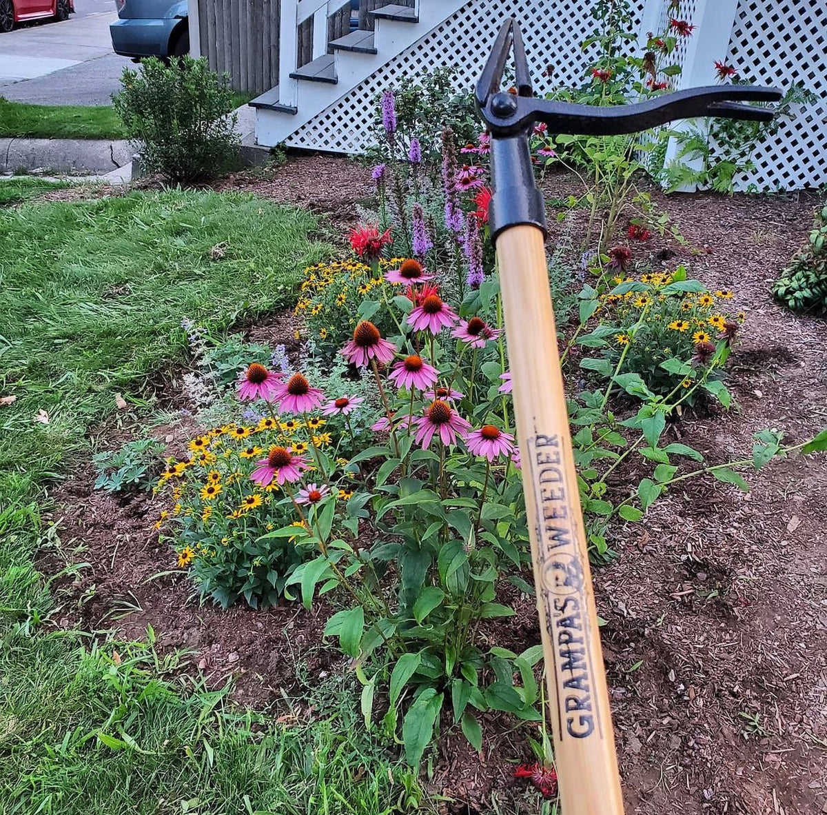 Pull Weeds Like a Pro: The Ultimate Guide to Choosing the Right Weed P ...